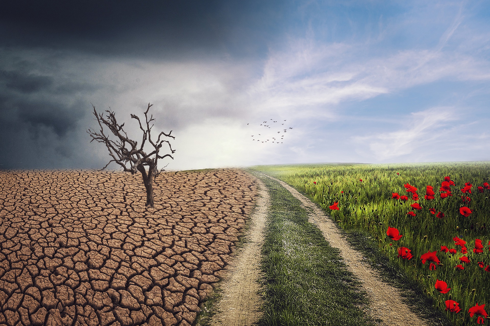 What next for climate politics in NI? - Queen's Policy Engagement
